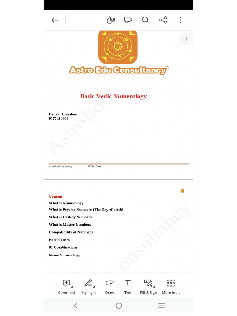 Vedic Numerology Sample Page | PDF