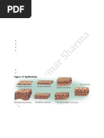 Animal Tissue NCERT | PDF | Epithelium | Connective Tissue