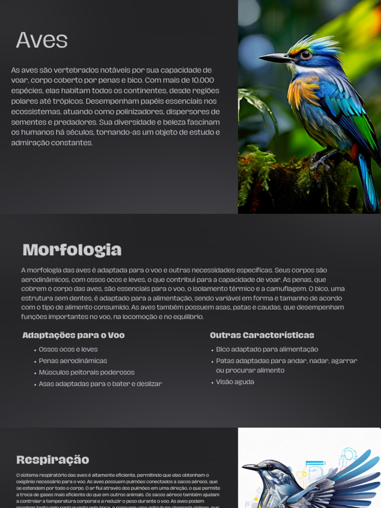 Introducao-as-Aves - PPTX 20240726 153523 0000 | PDF