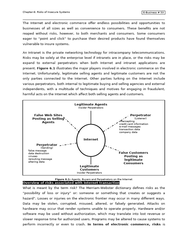 Chapter-6 - Risks of Insecure Systems | PDF