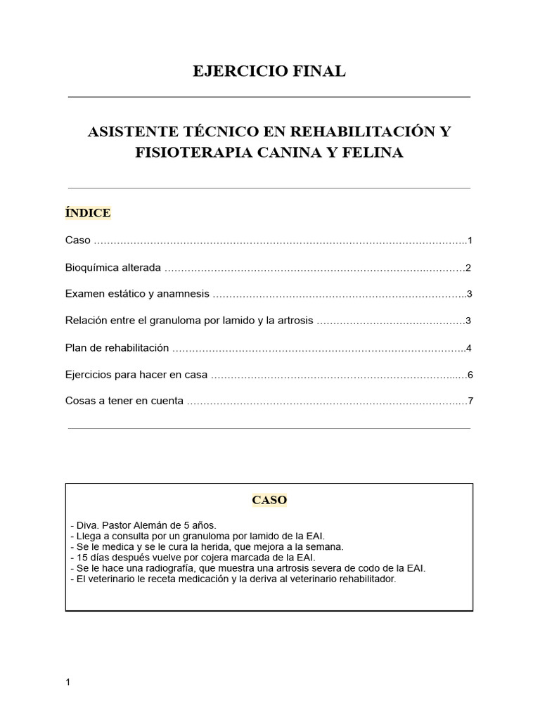 Ejercicio Final | PDF