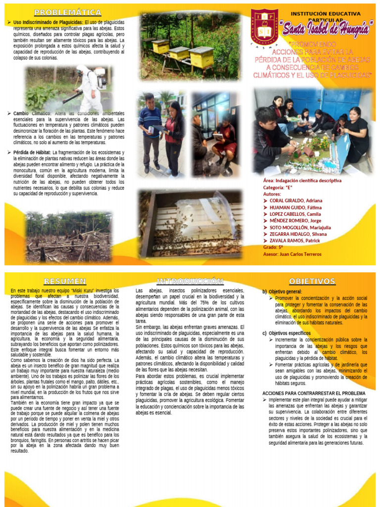 Triptico Abeja 2024 | PDF