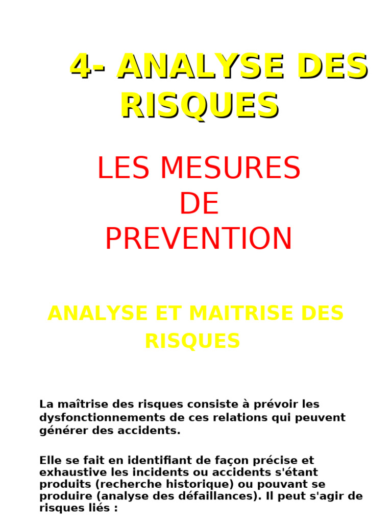 Analyse Des Risques | PDF