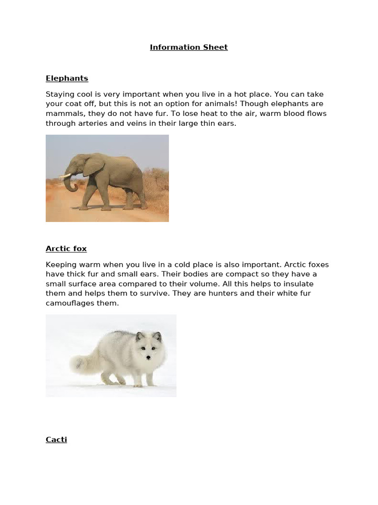 Information Sheet | PDF