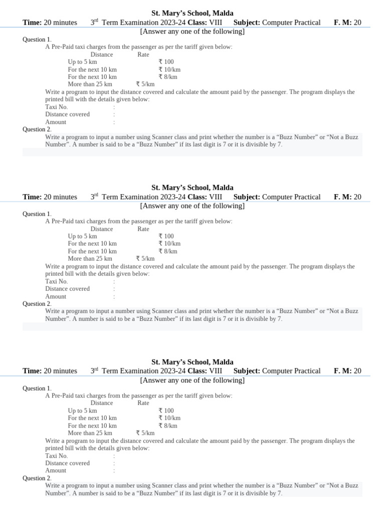 Class VIII Practical 3rd Term | PDF