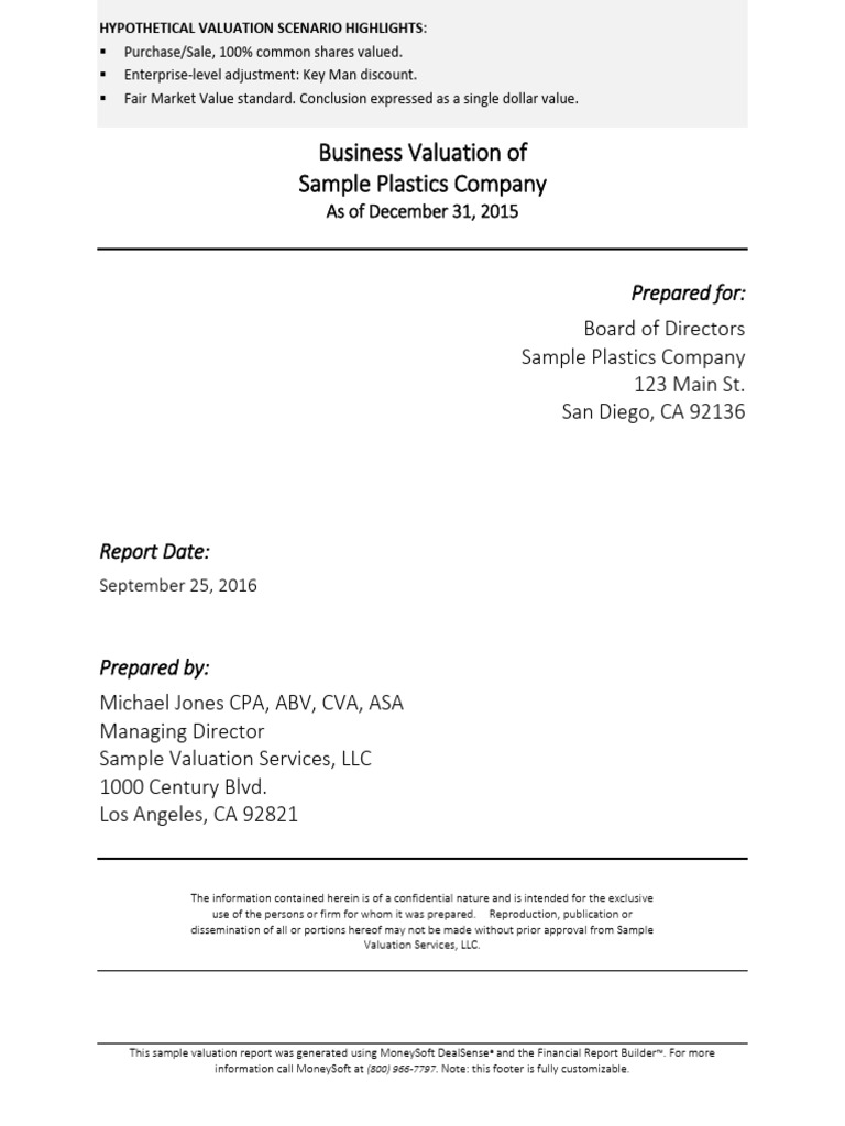 Business Valuation Sample | PDF