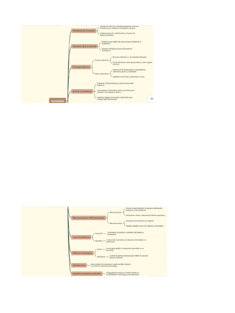 mapa-conceptual(1) | PDF