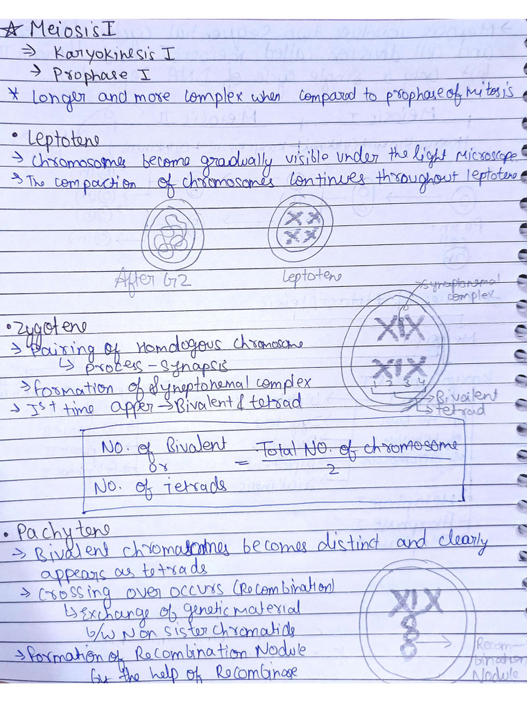 Chapter-Cell Cycle and Cell Division - Class-5 - Botany | PDF
