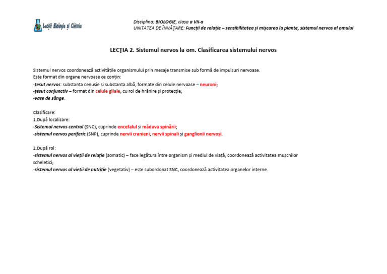 U1.L2.Clasificarea Sistemului Nervos | PDF