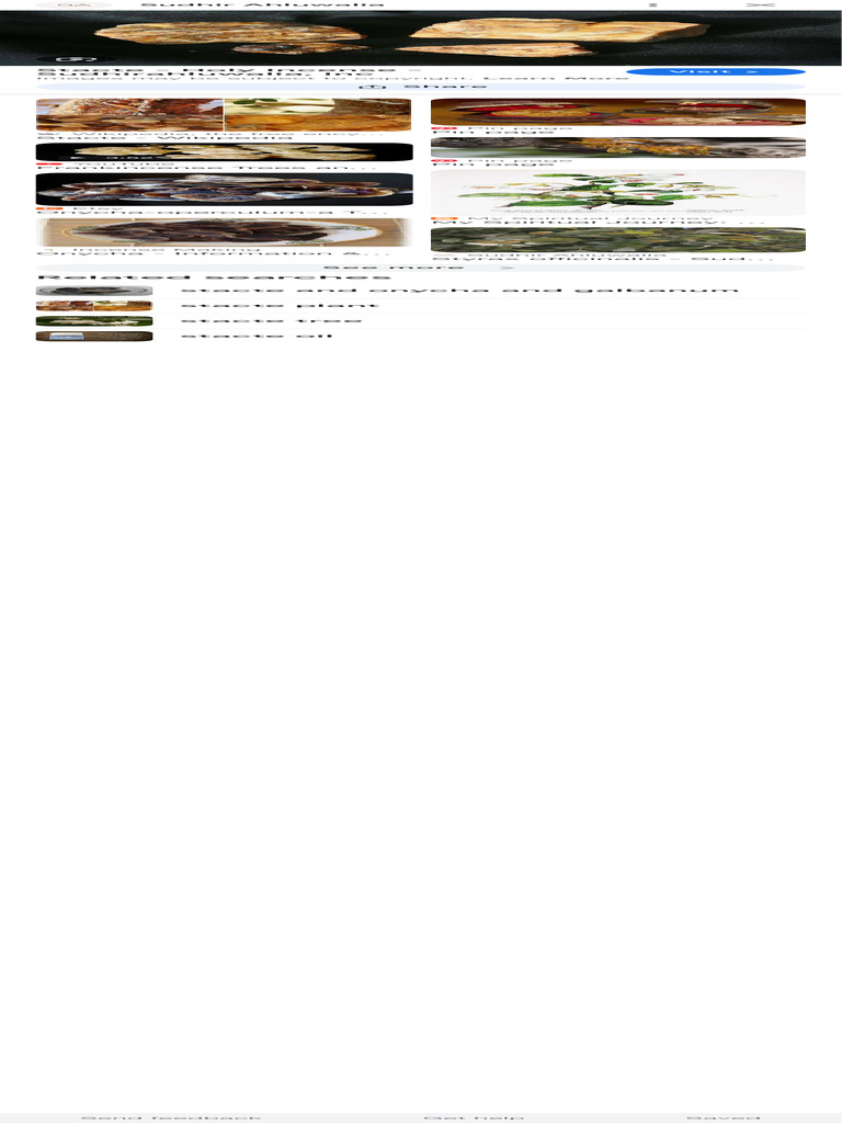 Stacte - Google Find | PDF