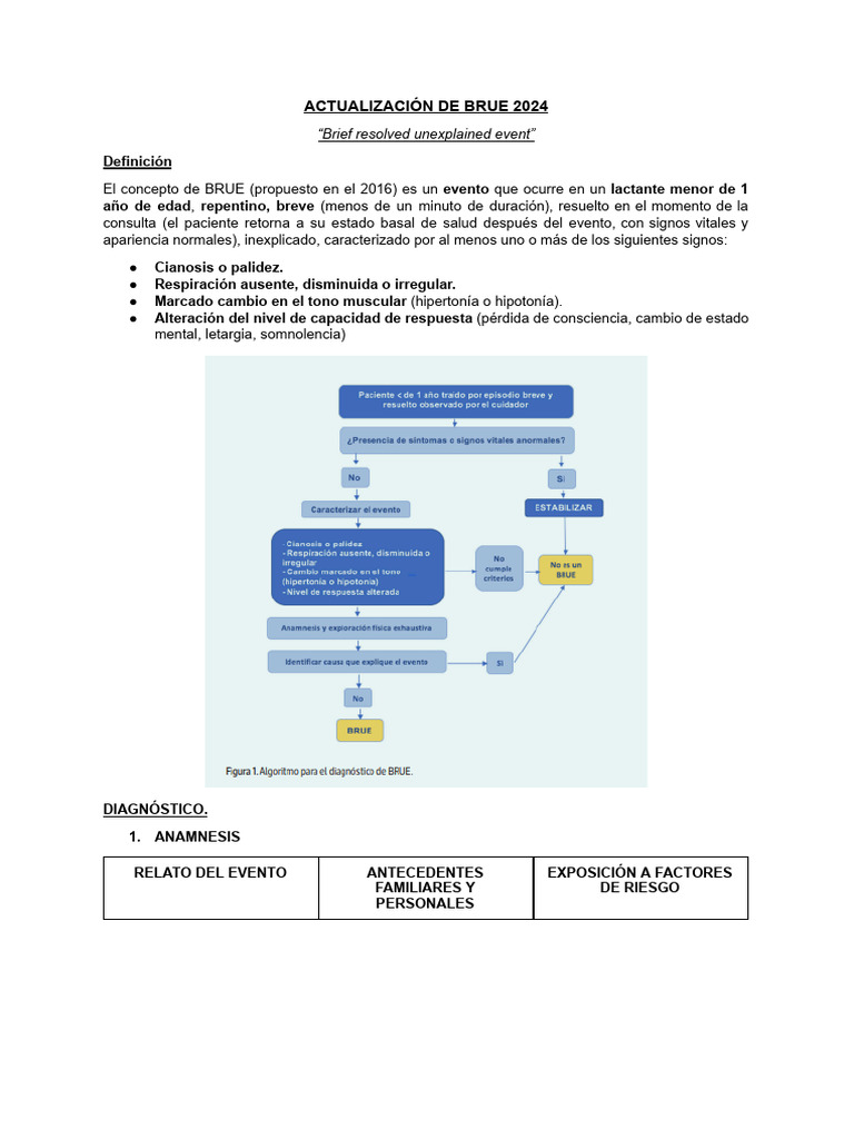 Actualizacion Brue 2024 | PDF