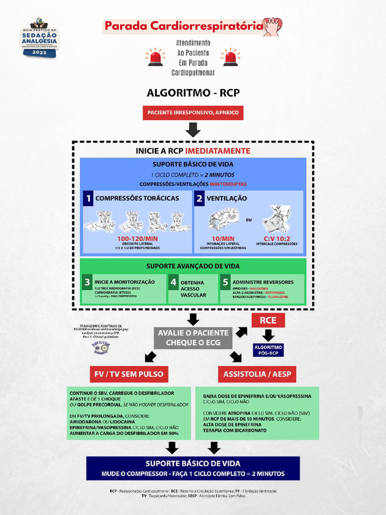 Guia de RCP Guia Pratico de Sedacao e Analgesia Na Rotina de Caes e Gatos 2023 | PDF
