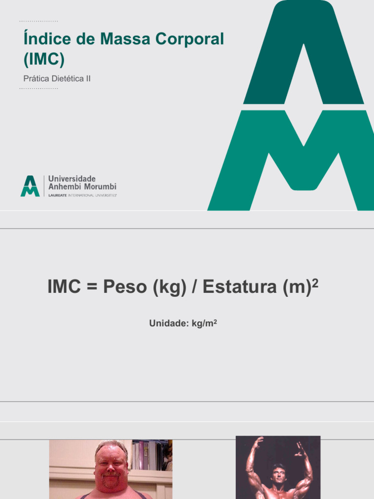 Índice de Massa Corporal (IMC) : Prática Dietética II | PDF