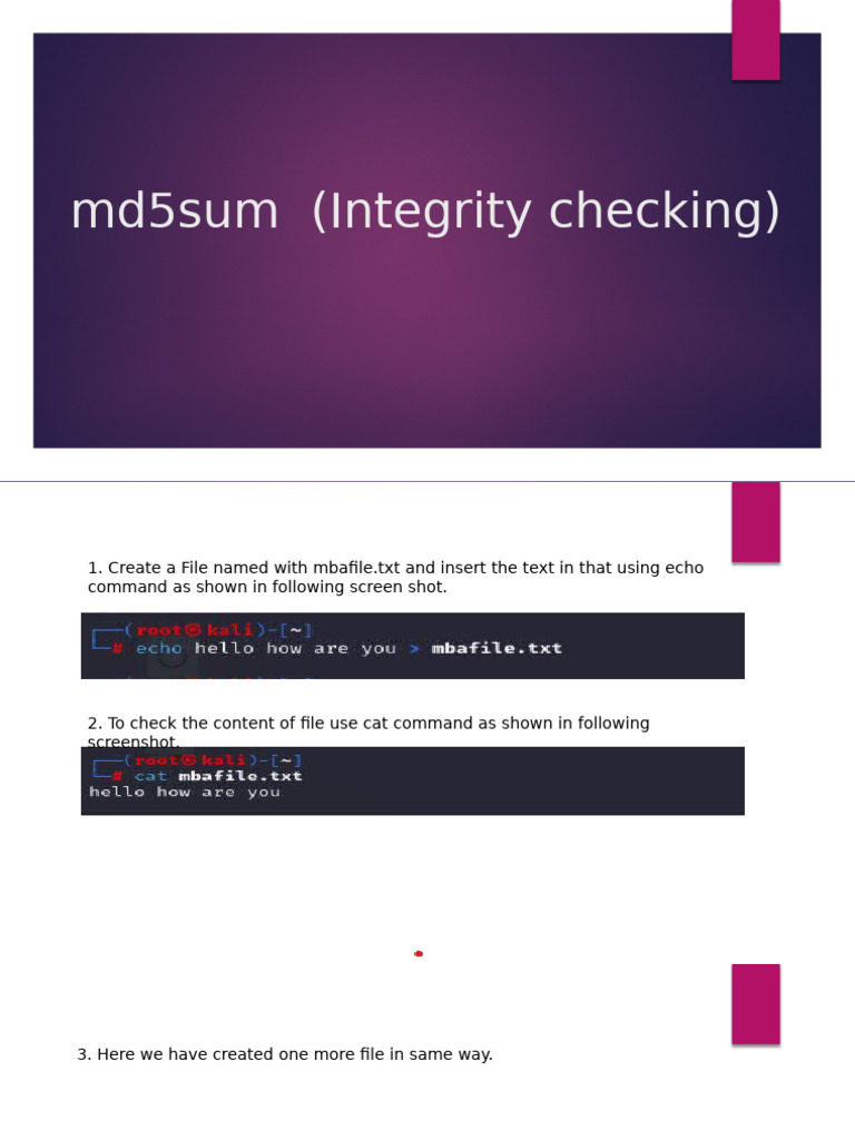 4.md5sum Integrity Checking | PDF