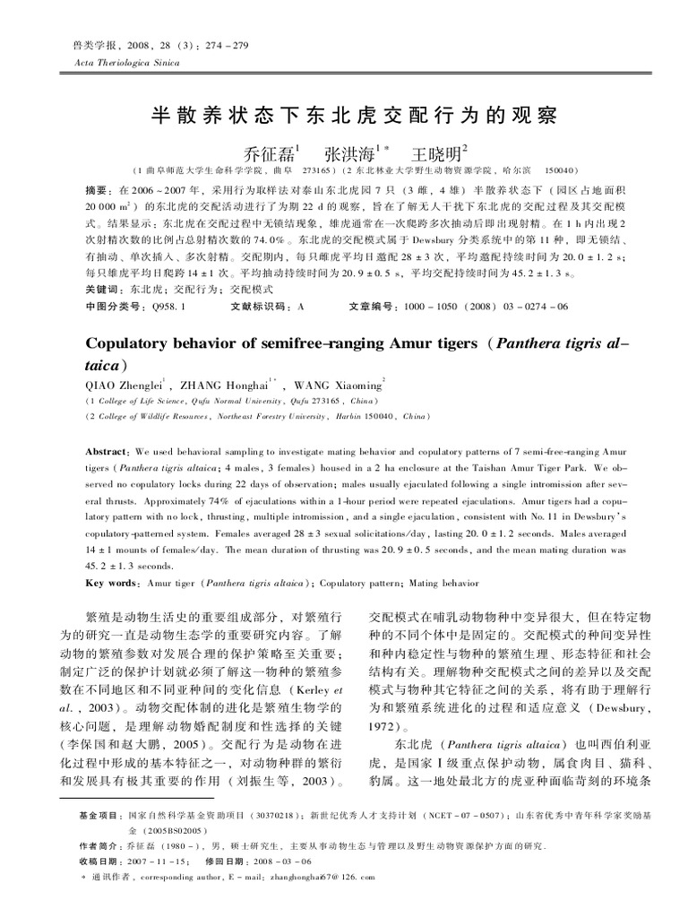 Copulatory Behavior of Semifree-Ranging Amur Tigers Panthera Tigris ...