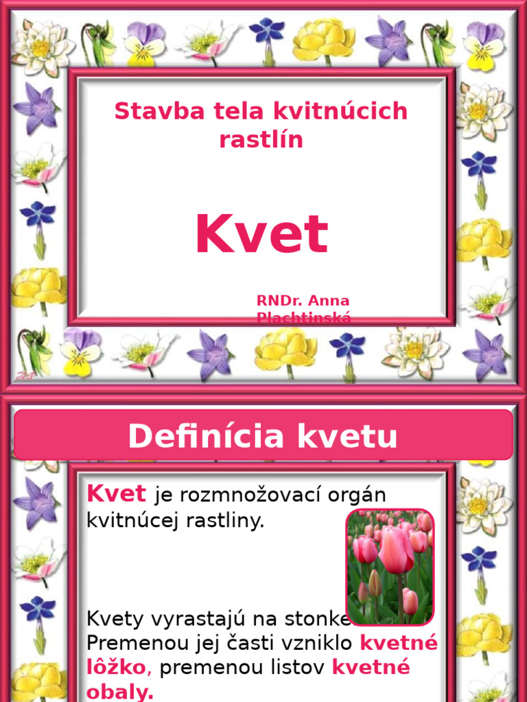 Kvet | PDF