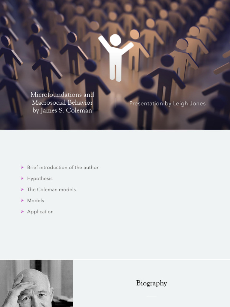 Microfoundations and Macrosocial Behaviour - A Presentation by L ...