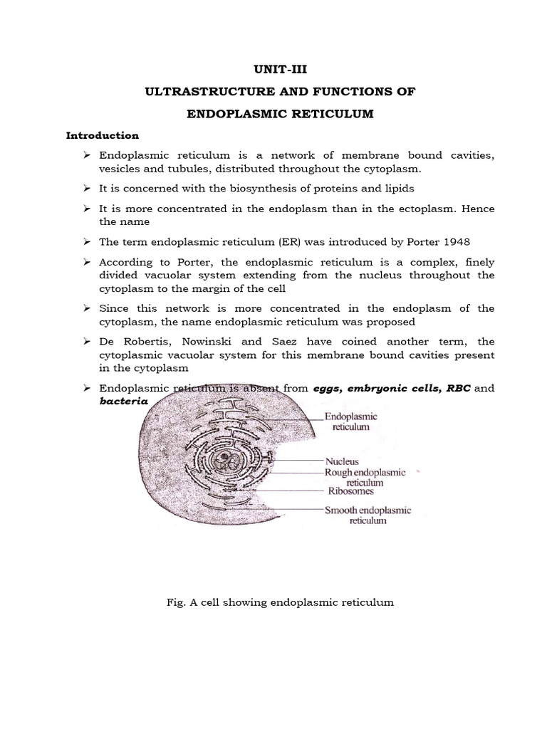 Endoplasmic Reticulum Structure & Functions | PDF | Endoplasmic ...
