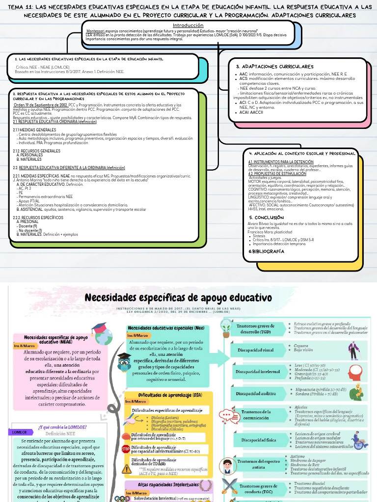 Esquema Tema 11 (Opos).PDF | PDF