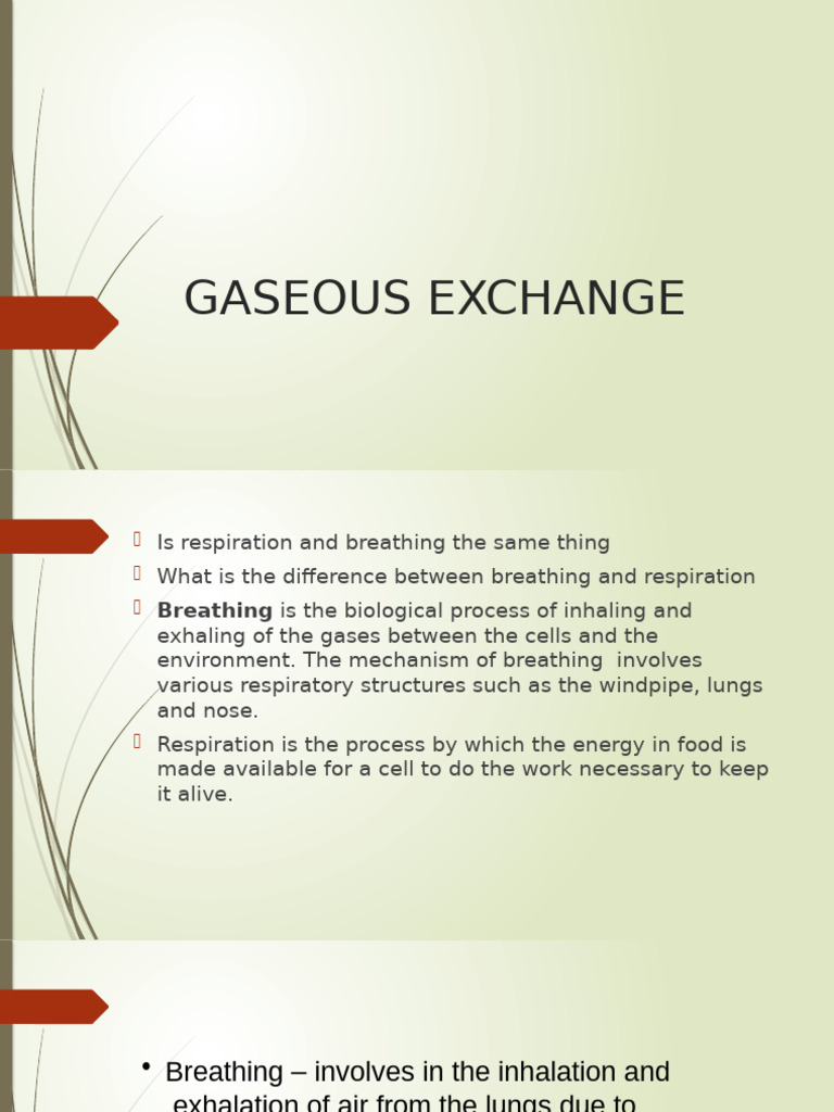 Gaseous Exchange | PDF