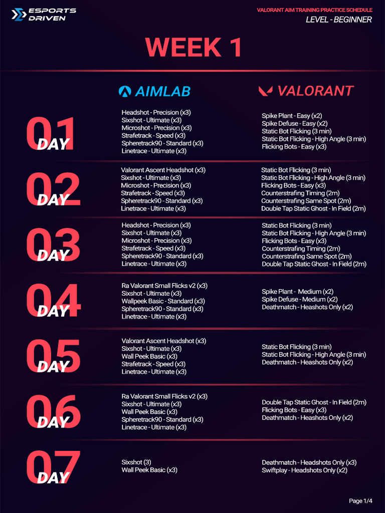 Aim Training Practice Schedule Beginner | PDF