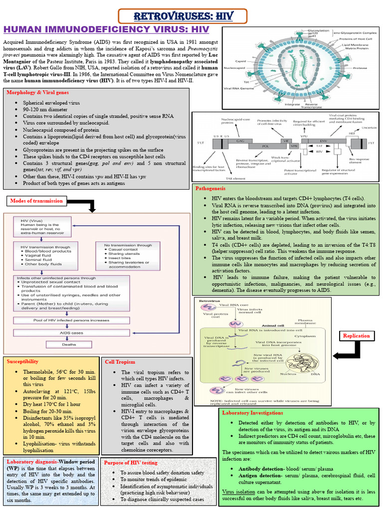 HIV Poster | PDF