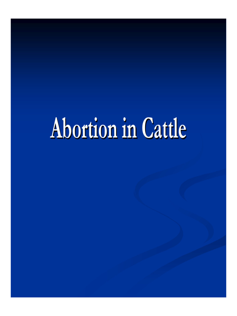 Abortion Cattle | PDF