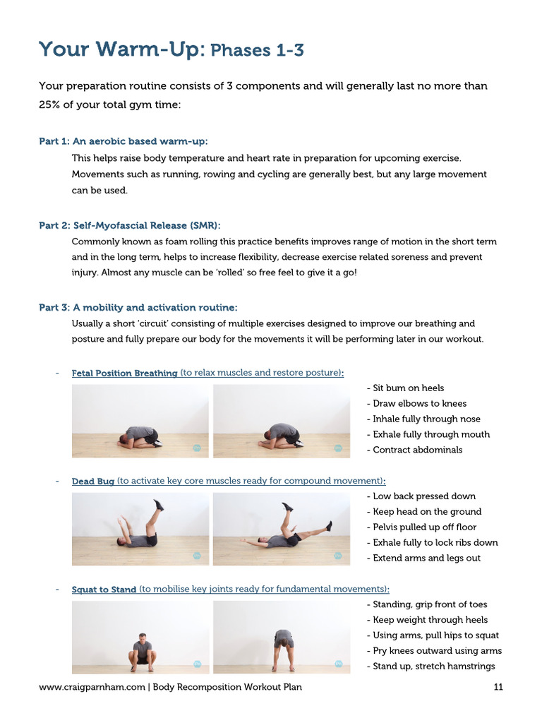 Body Recomposition Workout Plan - Banded Workout Beginner | PDF ...