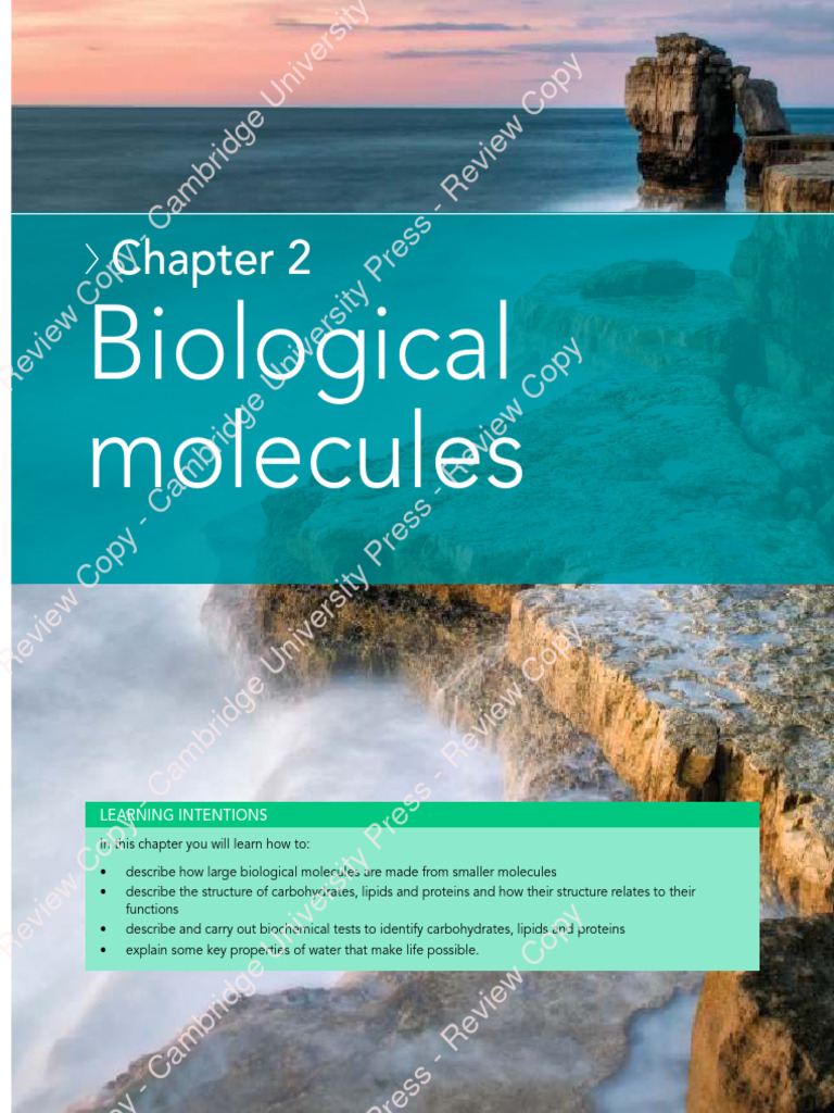 CIE Biological Molecules-Textbook | PDF