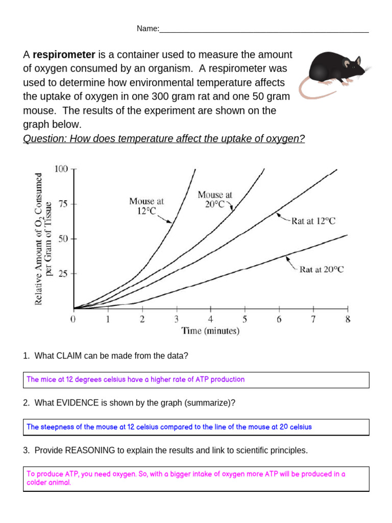 Copy of Mouse Respiration CER | PDF