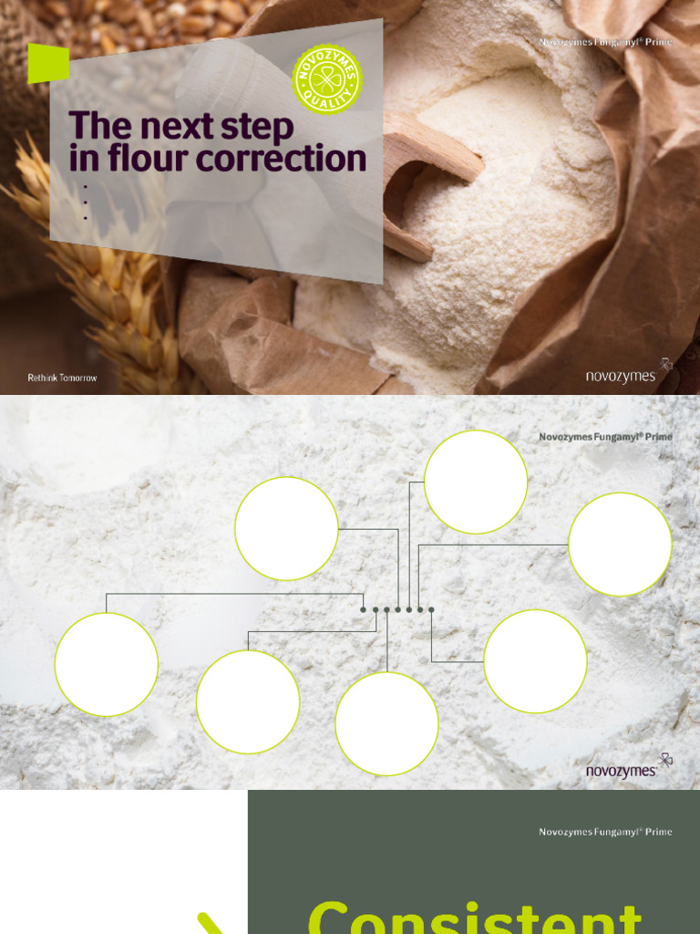 Fungamyl Prime Presentation | PDF