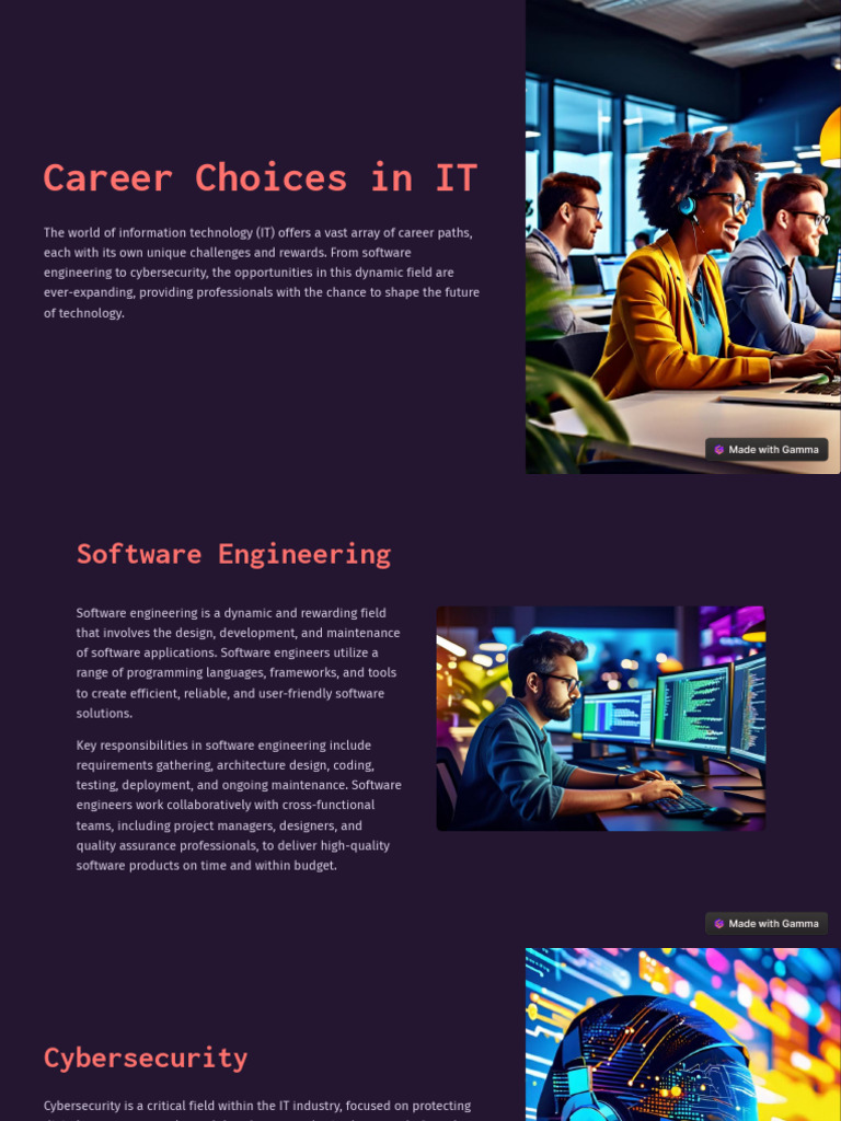 Career Choices in IT | PDF