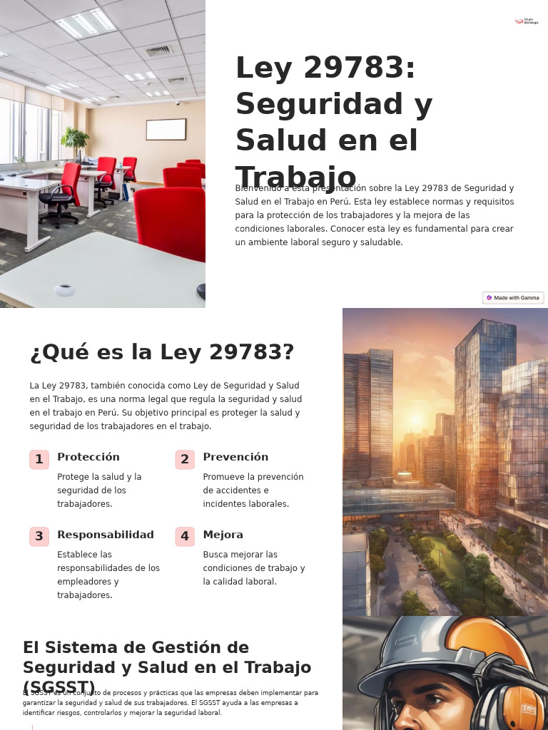 Ley 29783 Seguridad y Salud en El Trabajo | PDF