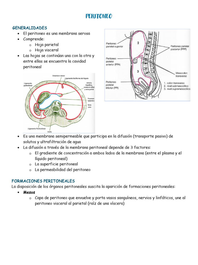 PERITONEO | PDF