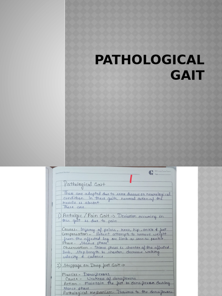 Pathological Gait | PDF