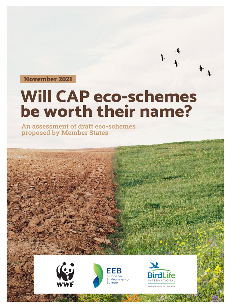 eco_schemes_assessment | PDF