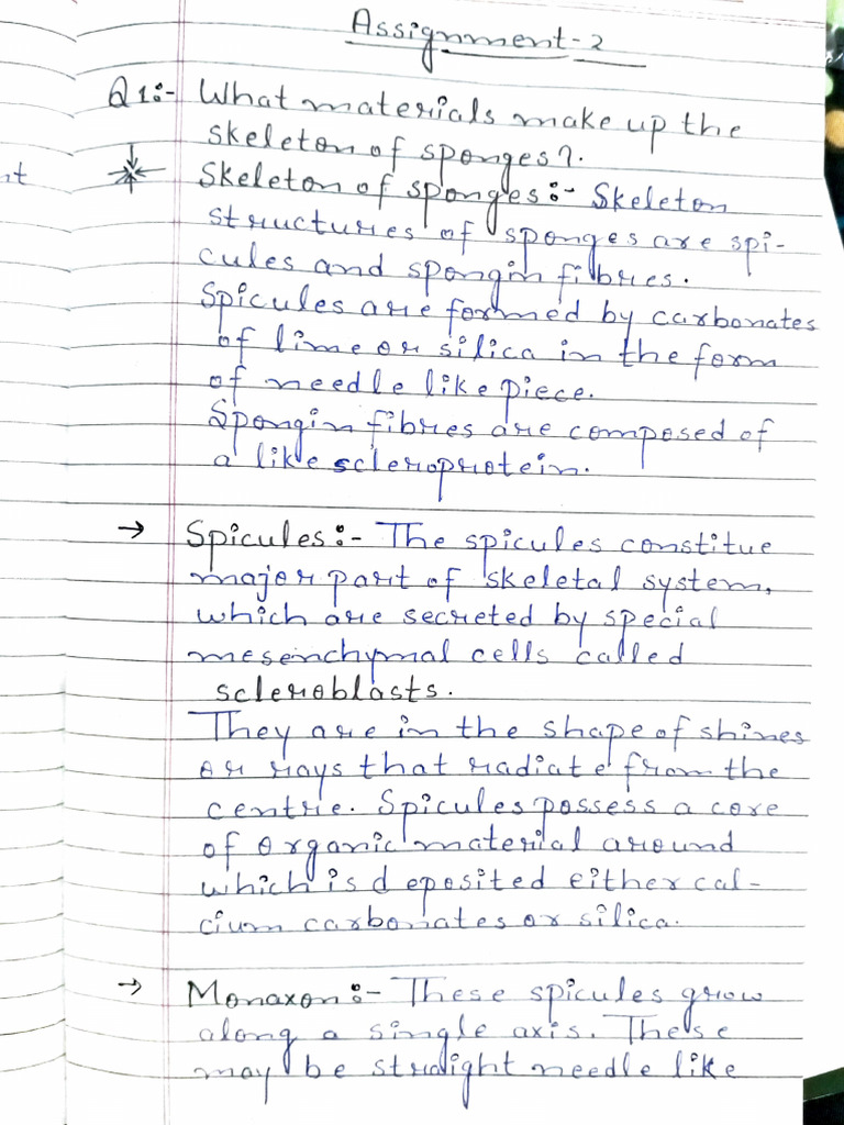 Assignment 2 | PDF
