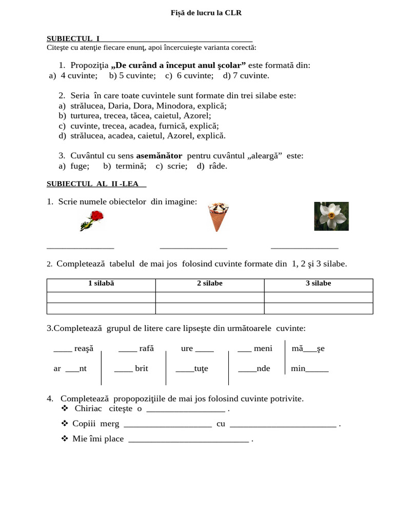 Fișă de Lucru La CLR | PDF