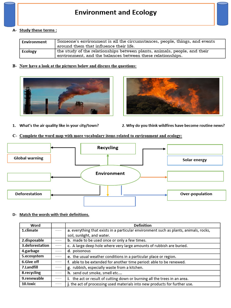Environment and Ecology Vocabulary - Lesson Plan | PDF | Natural ...