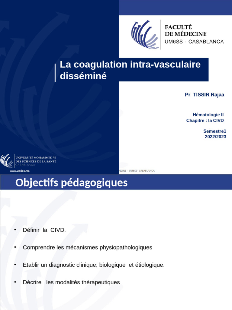 CIVD | PDF