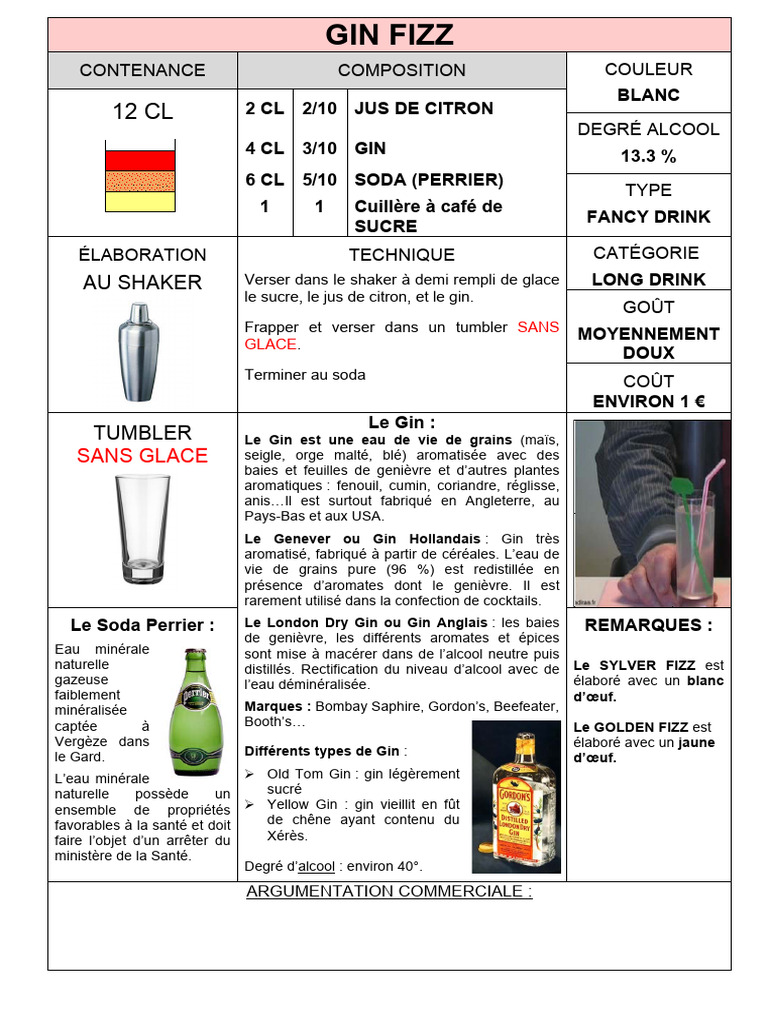 Gin Fizz | PDF