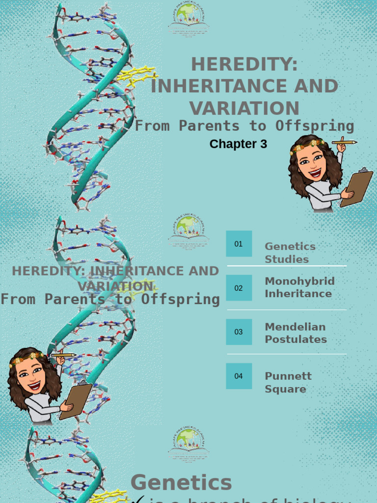Chapter 3-From Parents To Offspring 2 EXERCISE | PDF