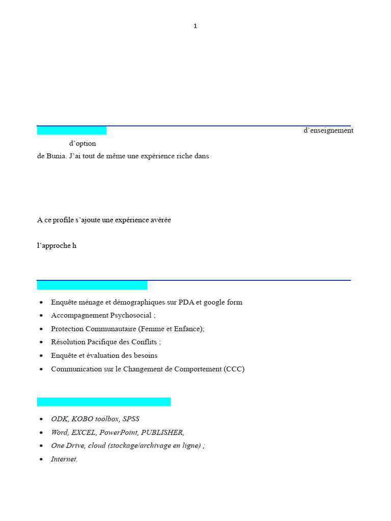 Curriculum Vitae Adeline | PDF