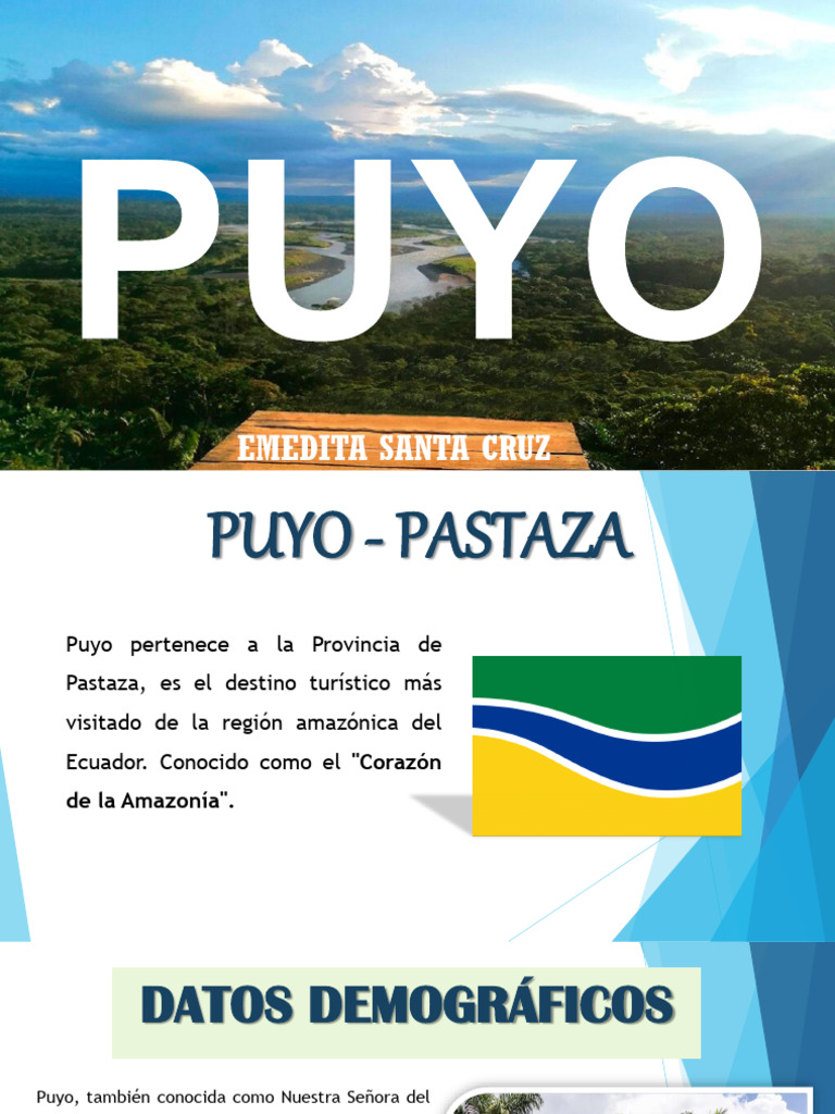 PUYO | PDF