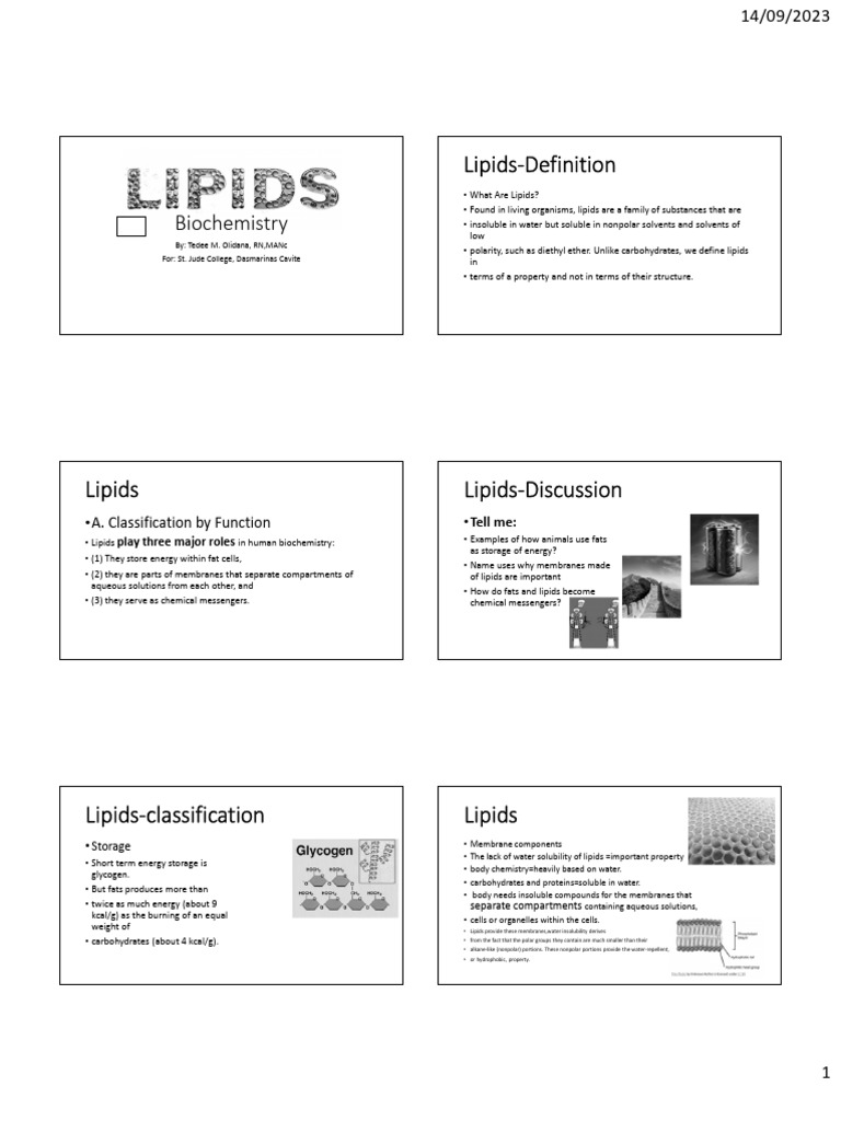 Biochem Lipids Handout | PDF