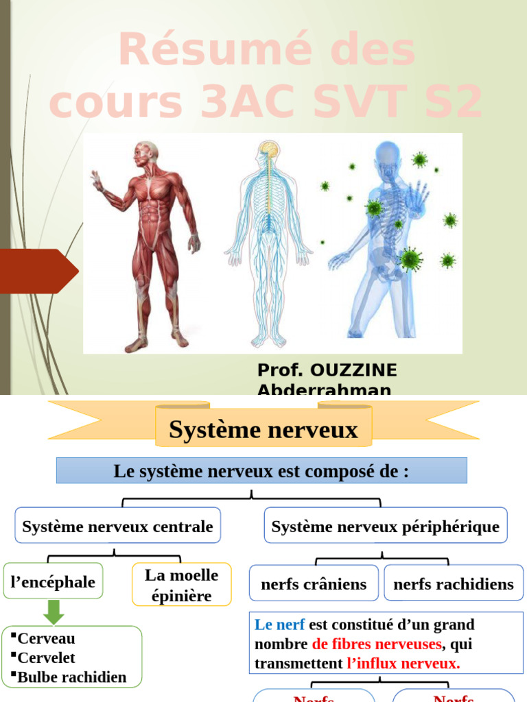 Resume Cours 3as S2 | PDF