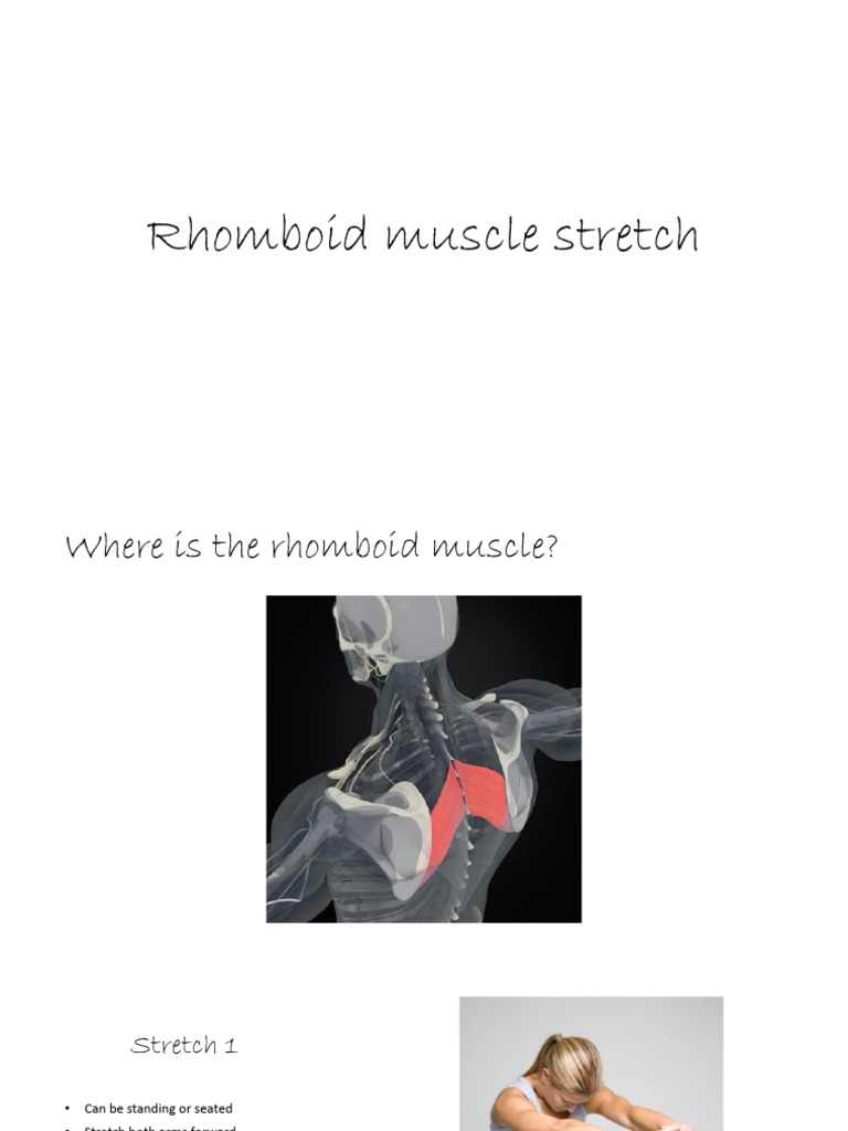 Rhomboid Muscle Stretch | PDF