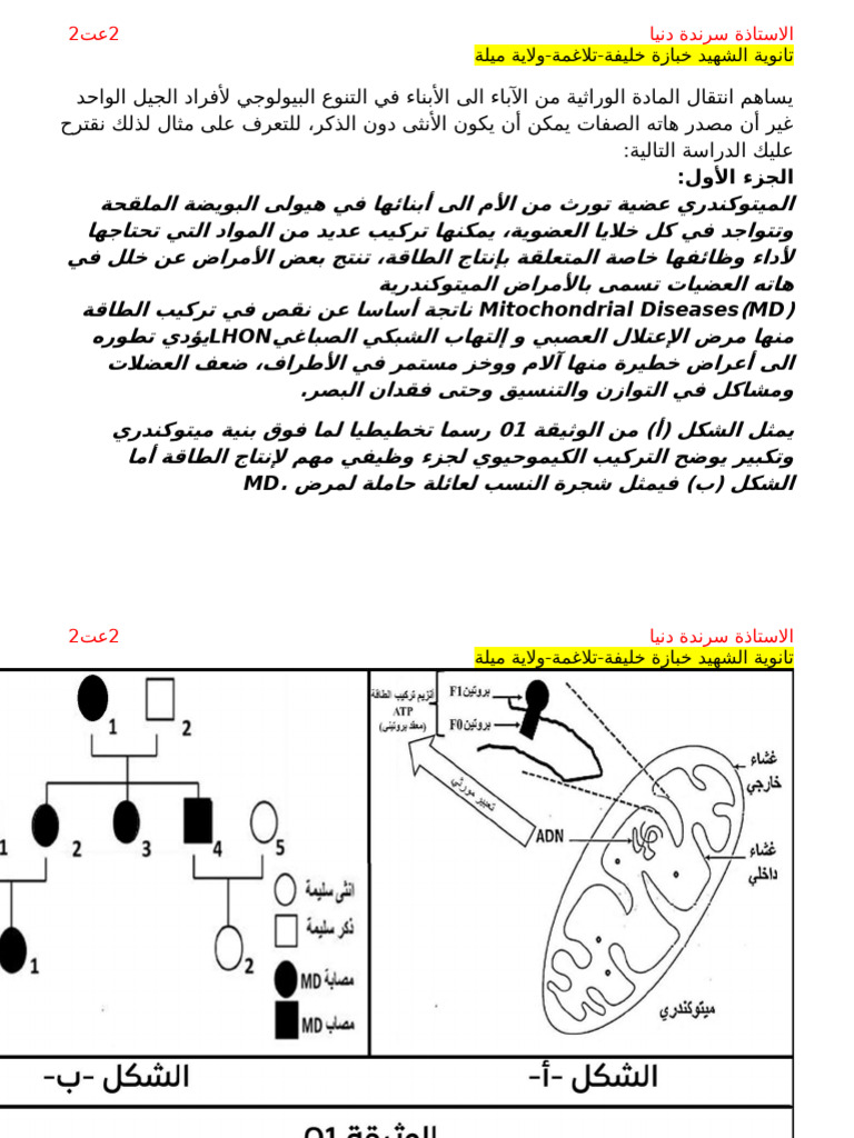 2as Tree | PDF