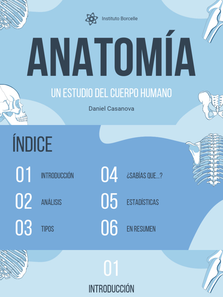 Presentación Diapositivas Anatomía Cuerpo Humano Ilustrativo Simple ...