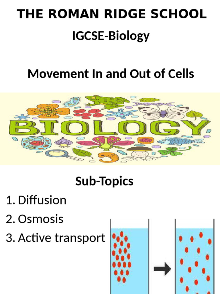 Igcse Biology Movement In And Out Of Cells Pdf